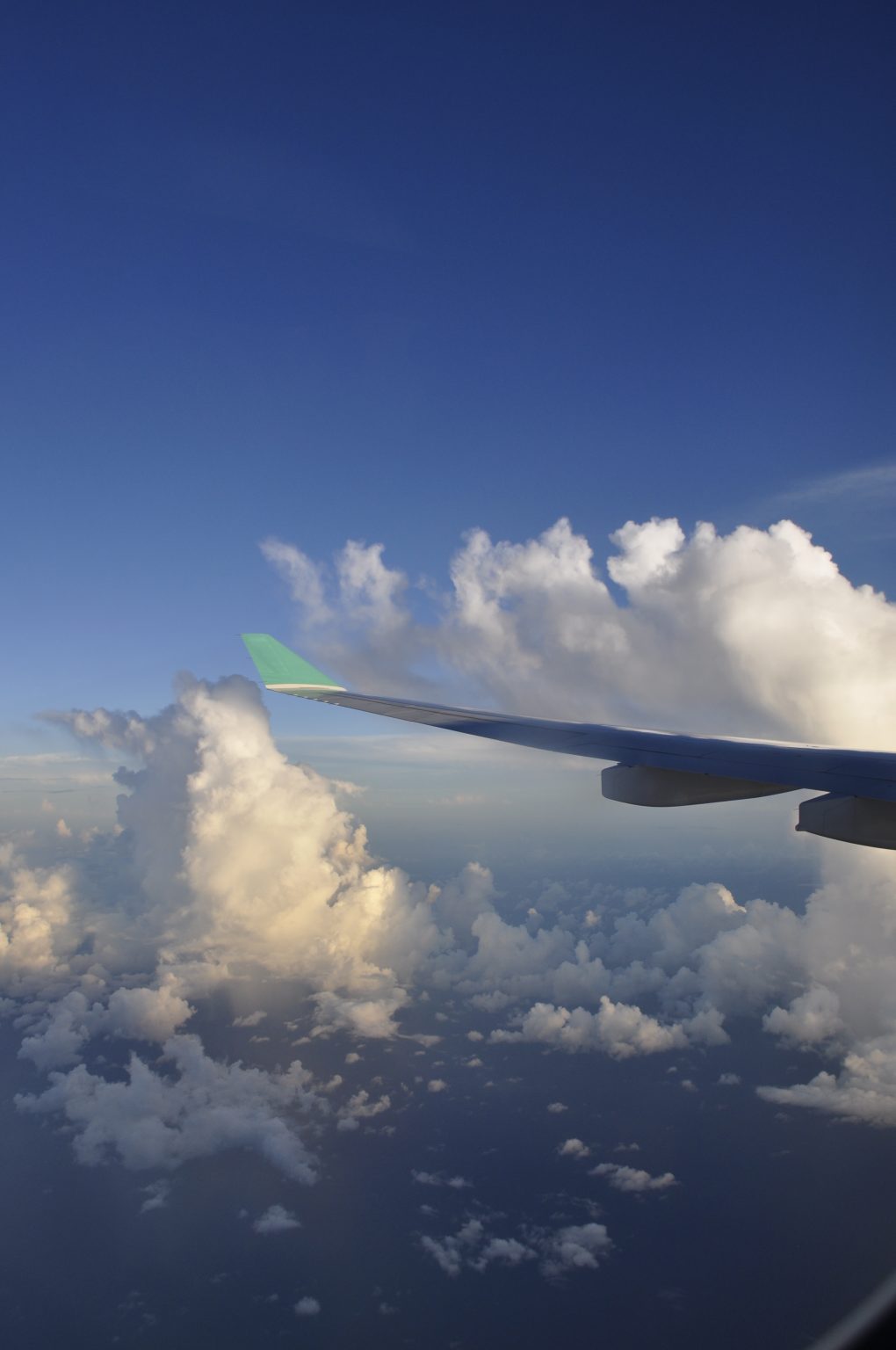 Alex Cerezo | Software engineer